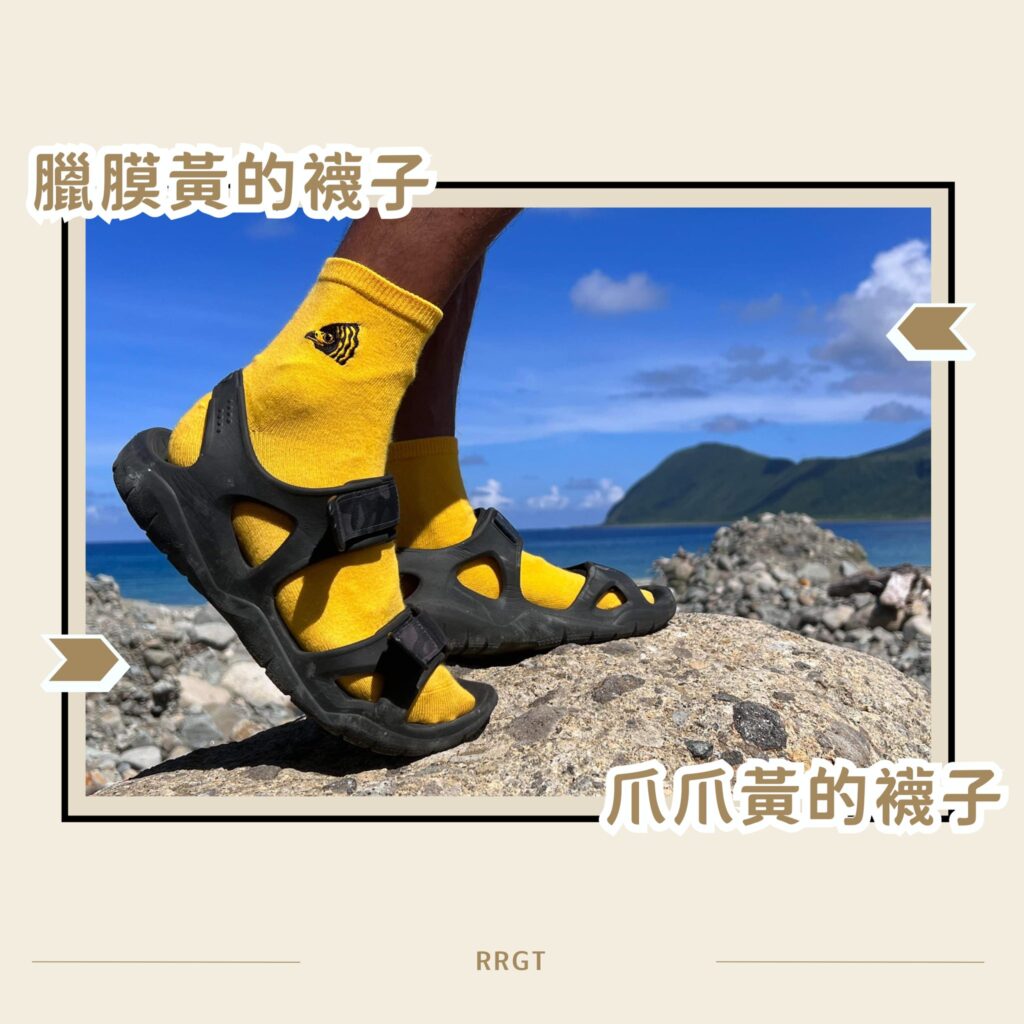 (台灣猛禽研究會 Raptor Research Group of Taiwan FB) - 亞太永續博覽會